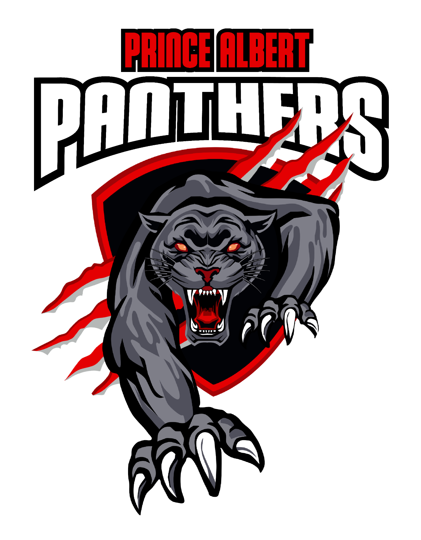 Clubs & Teams - Prince Albert Cricket Association